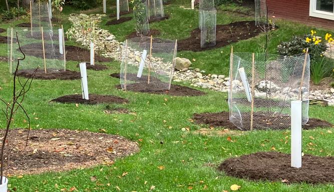 Deer Protection Around Trees Deer Fencing Kit With Netting, Poles, Sod