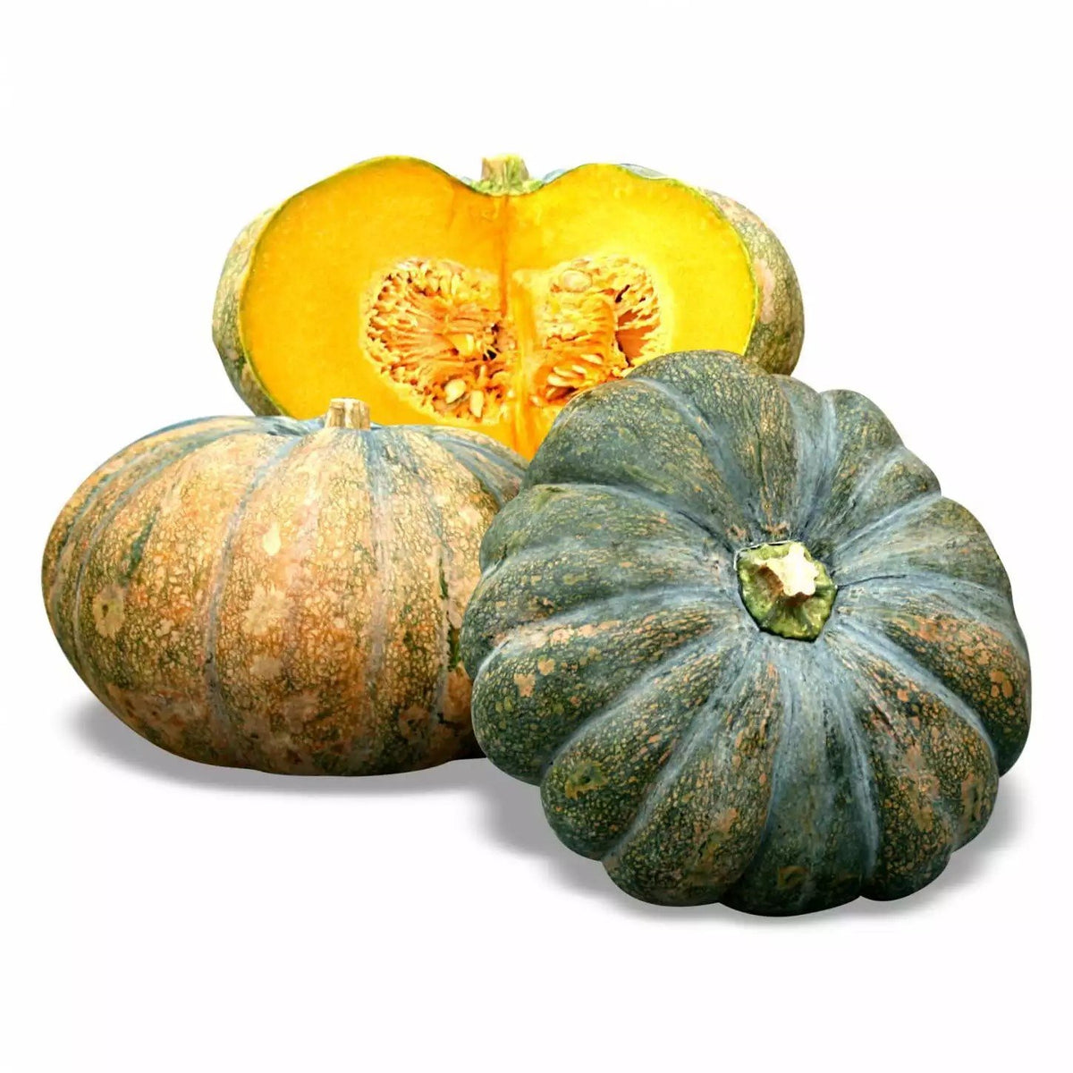 Kalabasa Squash (from the Philippines) - Veggie Start – Green Steeze